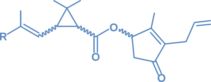 Shogun - Home Care AI